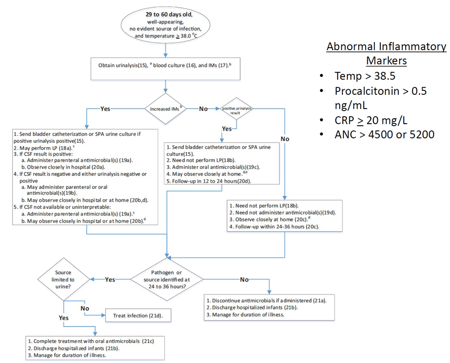 Pediatric fever of uncertain source - WikEM