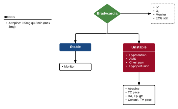 ACLS: Bradycardia - WikEM